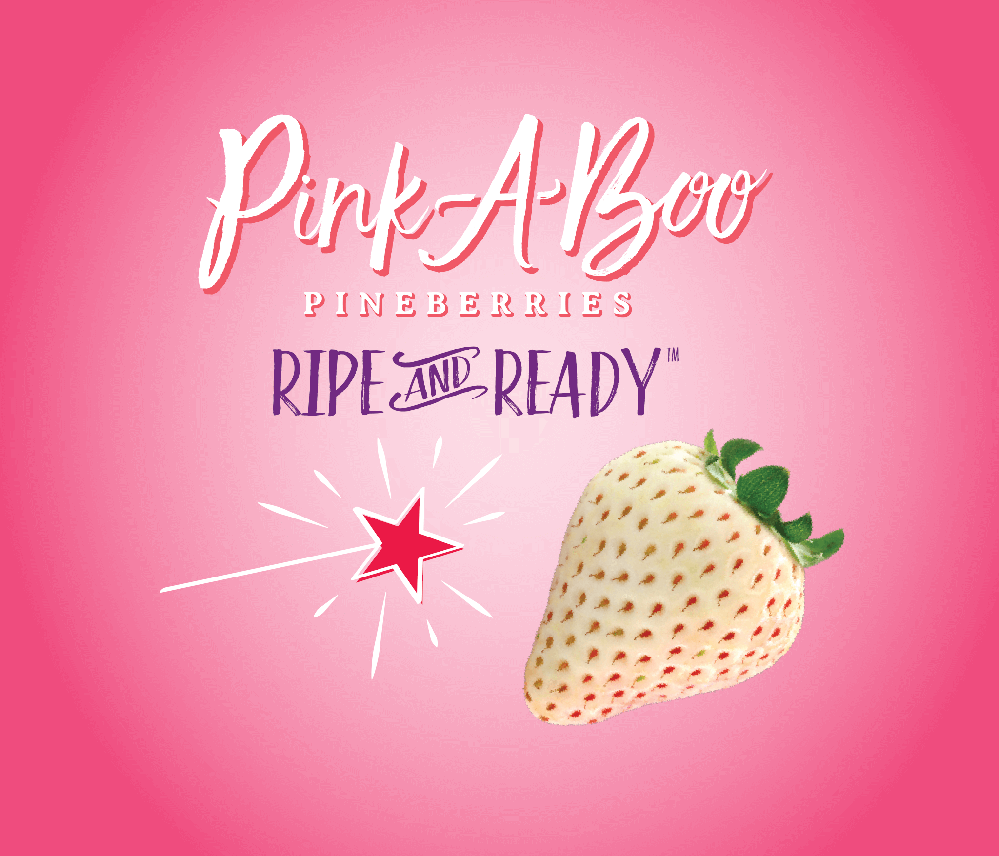 Pink-A-Boo, We Found You! | Wish Farms Pink-A-Boo Pineberries